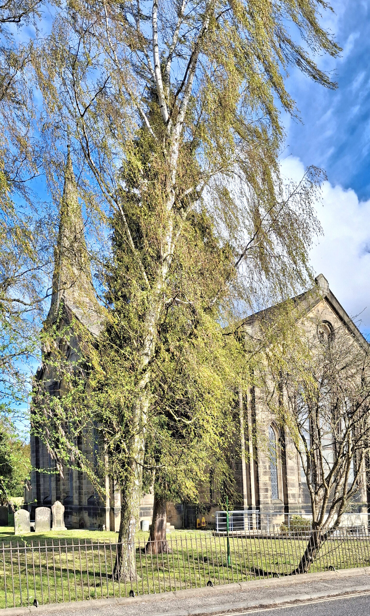 Notices of the Week of 12 May 2025 | Holy Trinity Ripon